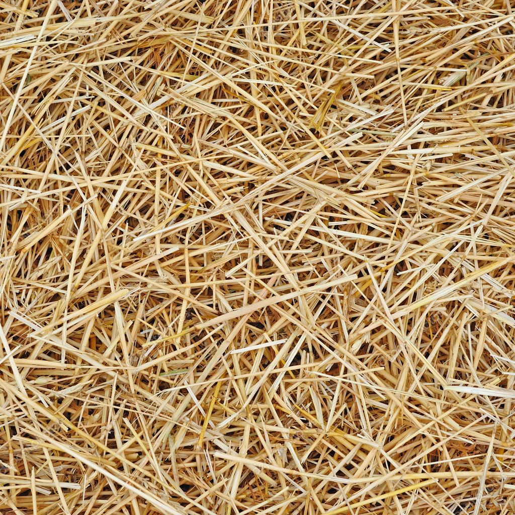 Fondo De Paja Textura — Foto De Stock 11729149 — Depositphotos