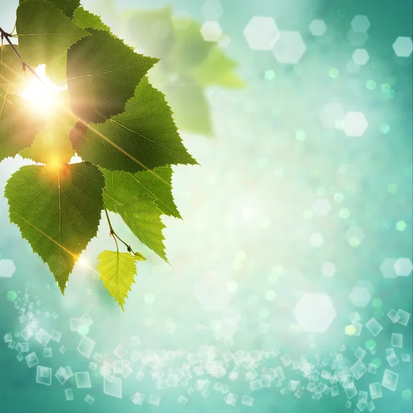 ᐈ Nice backgrounds nature stock photos, Royalty Free natural ...