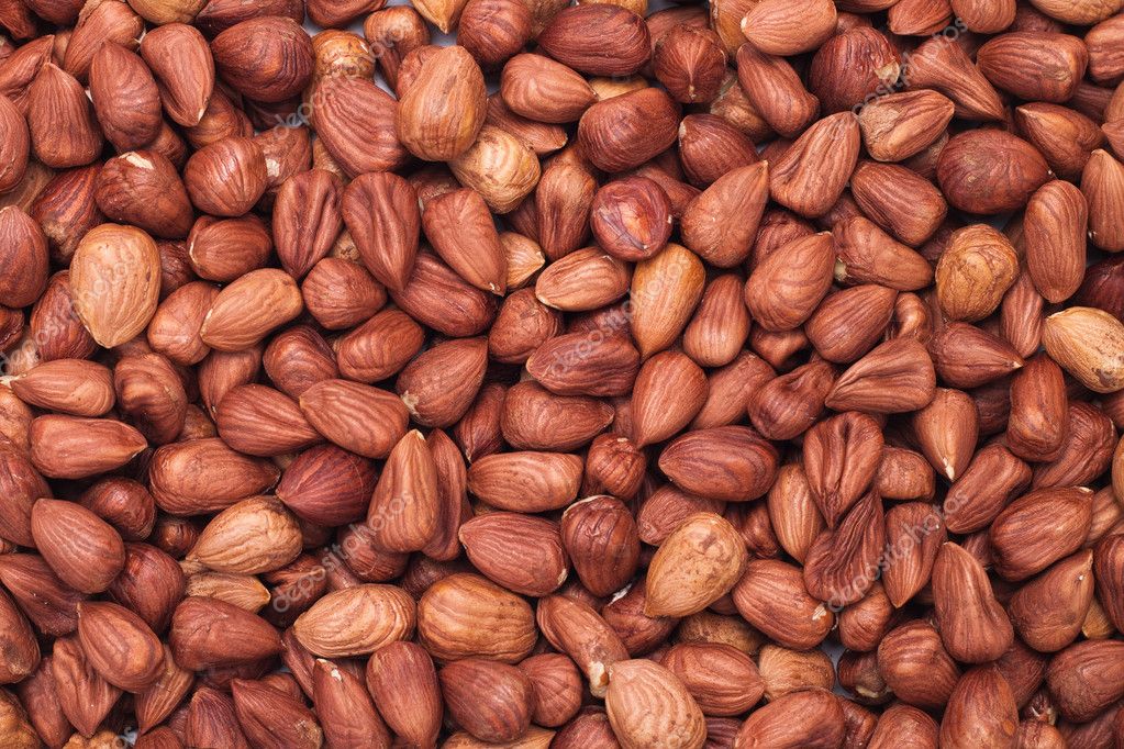 Hazelnut background Stock Photo by ©garloon 11097719
