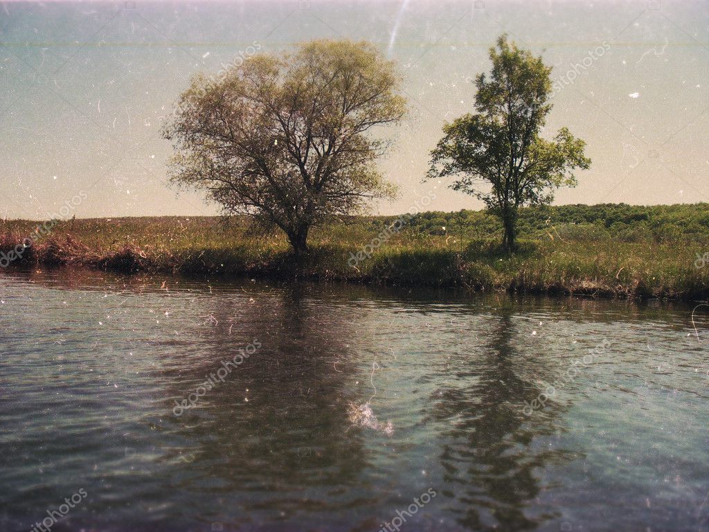 Beautiful scenery, forests in Ukraine Stock Photo by ©mirabellart 10740463