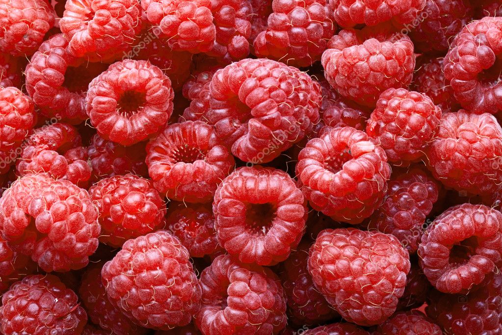 Maliny tło — Zdjęcie stockowe © magone #11878516