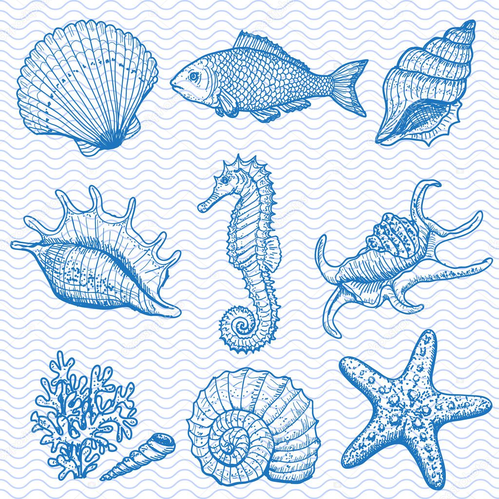 Coleção de mar. ilustração de mão desenhada original — Vetor de Stock ...