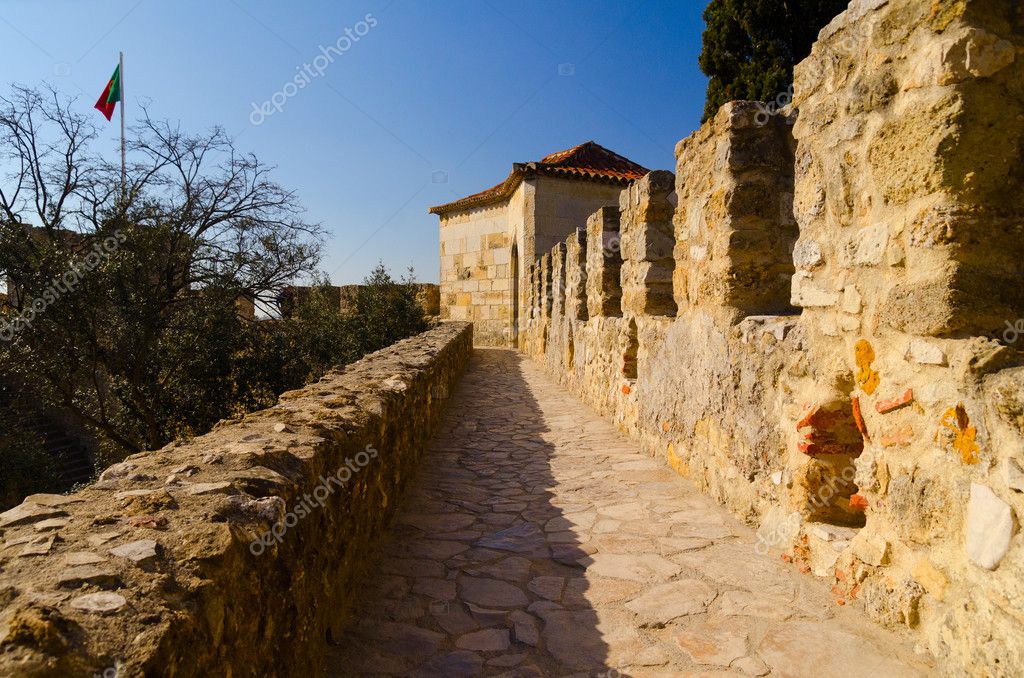 Castelo de São jorge 2021