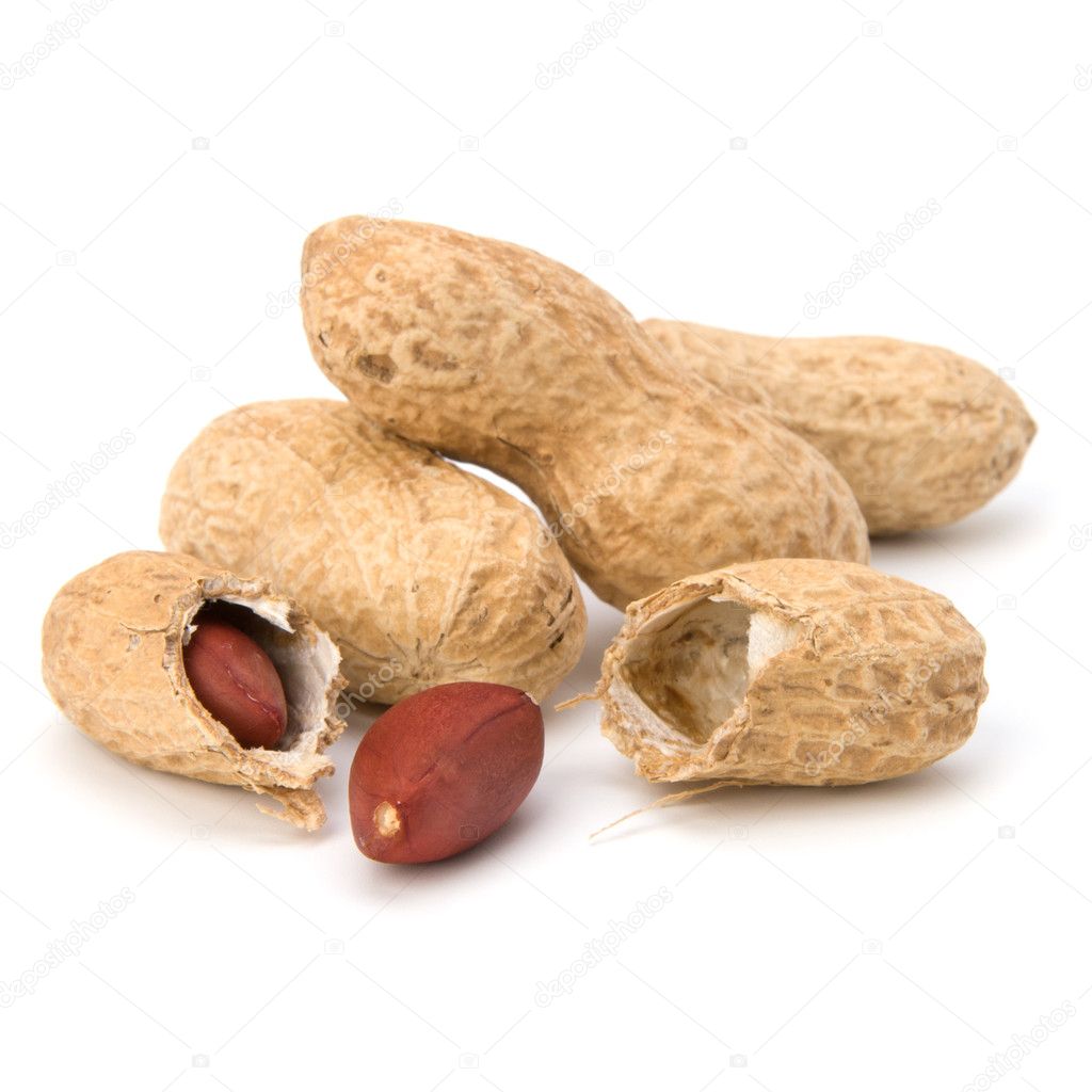 Peanut Stock Photo by ©natika 11073690