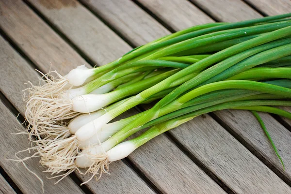 Spring onion plants Stock Photos, Royalty Free Spring onion plants ...