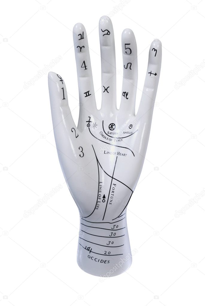 Palm Reading Hand Model Stock Photo by ©penywise 11391441
