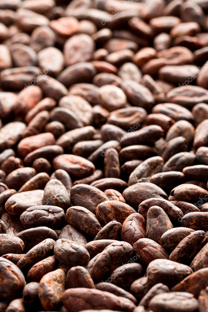 Cocoa beans background Stock Photo by ©jirkaejc 10911757