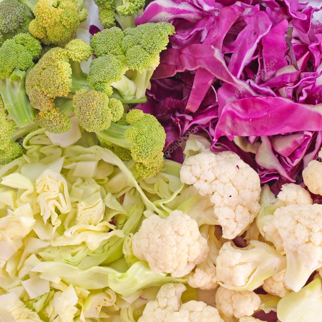 Collection cabbages background Stock Photo by ©Alexandra Lande 11102402