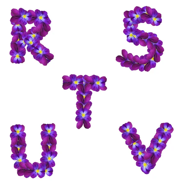 5,510 Violet letters Stock Photos | Free & Royalty-free Violet letters ...