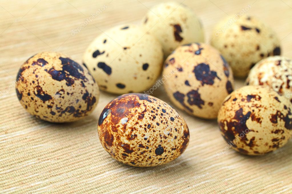 Quail Egg Stock Photo by ©leungchopan 12193054