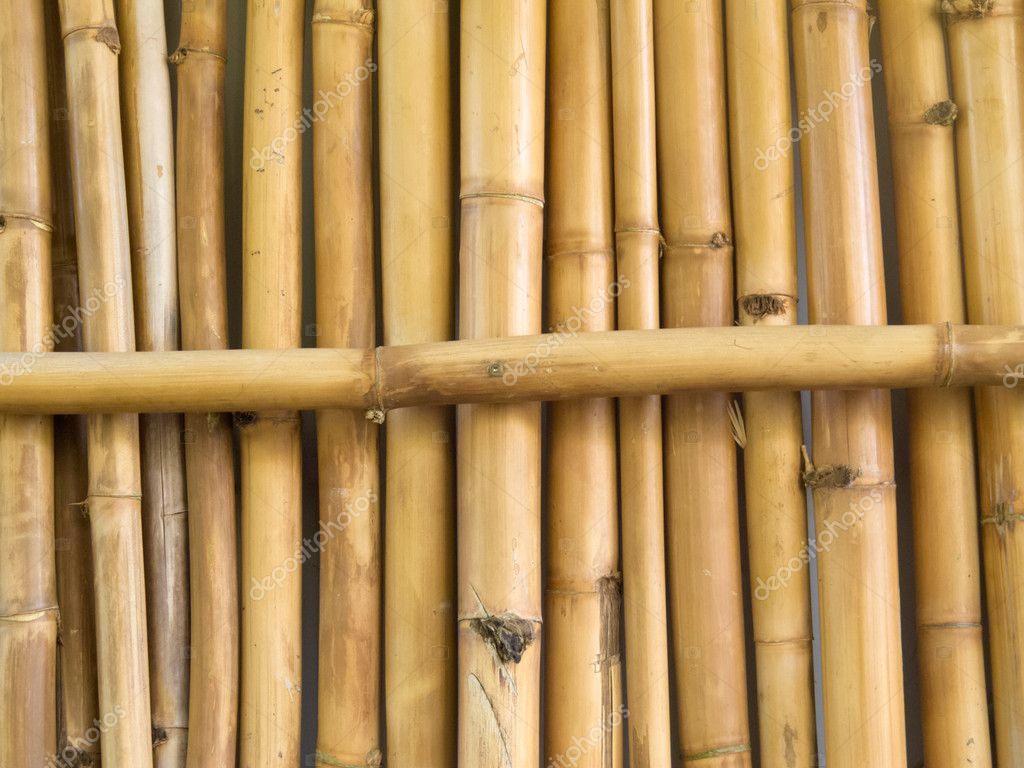 Dried Bamboo Wallpaper