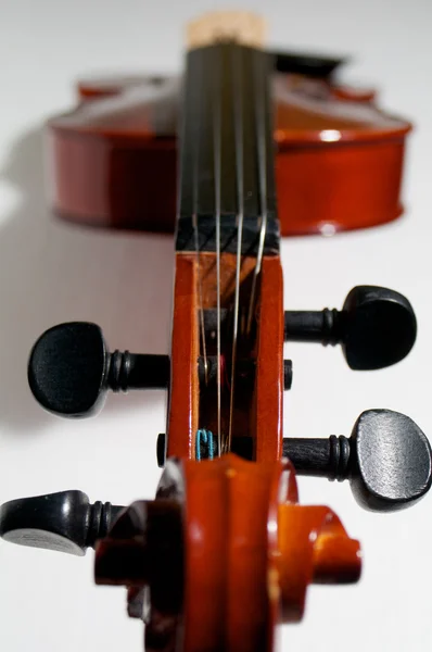 Violin collage — Stock Photo © lekcej #11393260