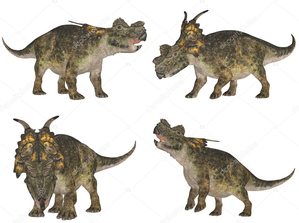 Achelousaurus Pack Stock Photo by ©Chastity 11166263