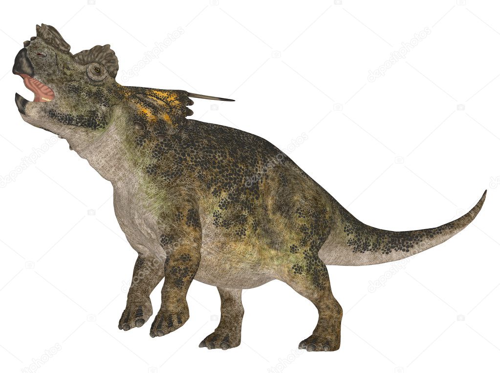 Achelousaurus Stock Photo by ©Chastity 11166267