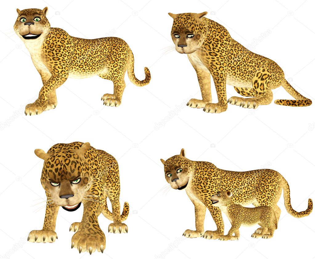 Leopard Pack Stock Photo by ©Chastity 11266452
