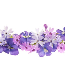 42,699 Spring border Vector Images | Depositphotos