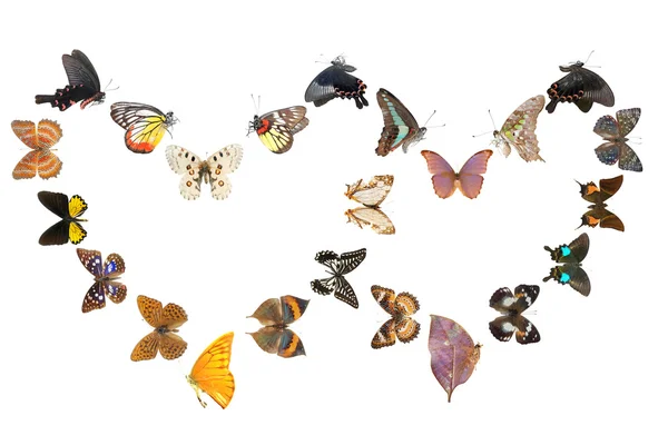 Heart sharp Stock Photos, Royalty Free Heart sharp Images | Depositphotos