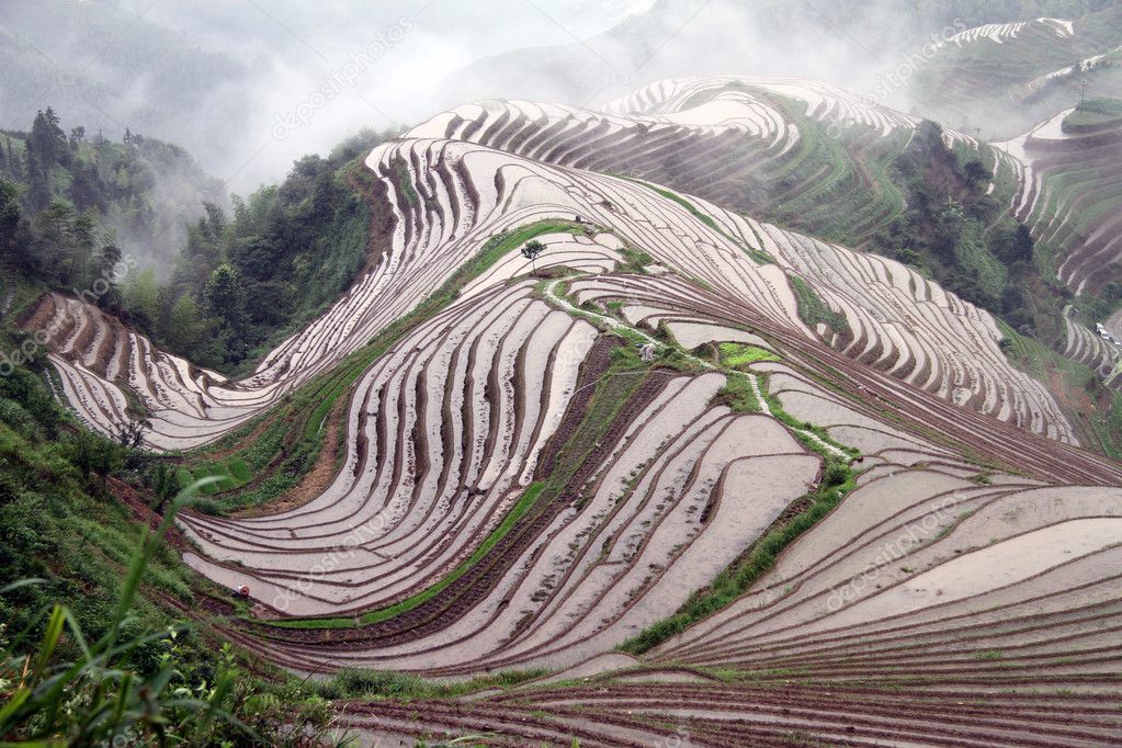 Longsheng Rice Terraces; China — Stock Photo © shanin #11915683