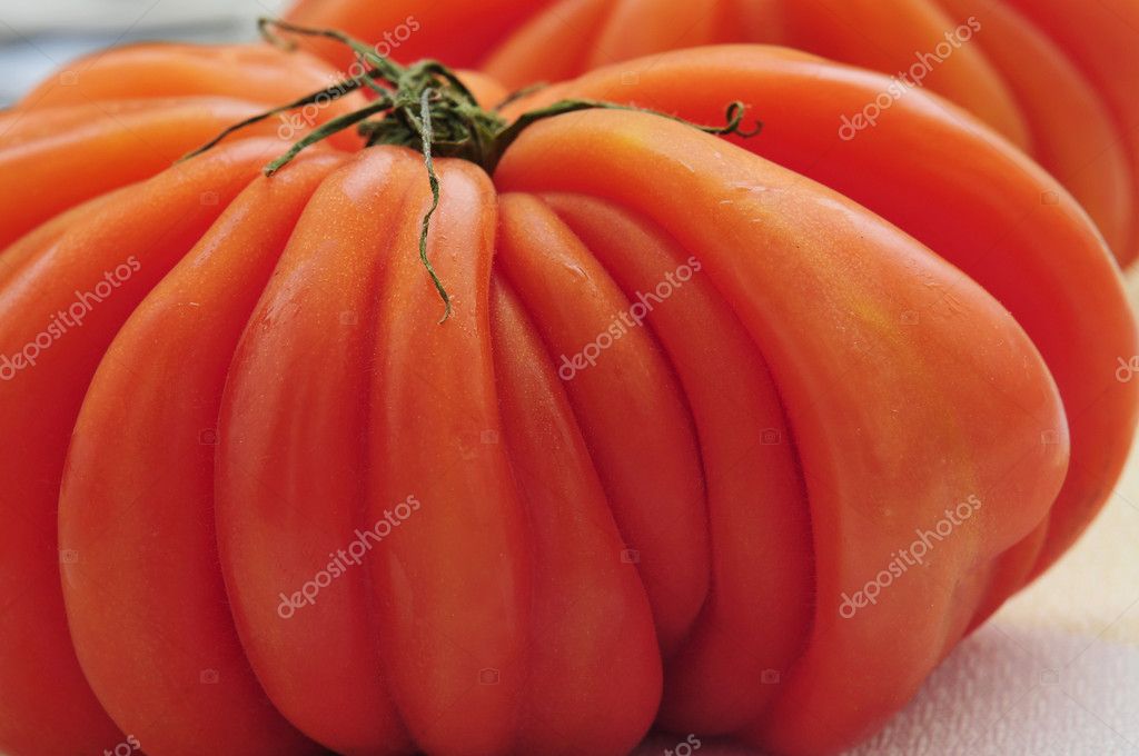 Zapotec heirloom tomato Stock Photo by ©nito103 10764326