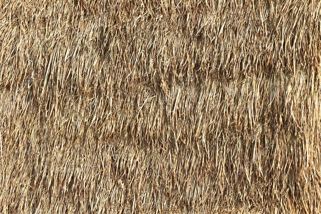 Techo de hojas de Palma con techo de paja — Fotos de Stock © dima266f ...