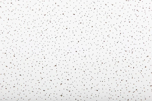 Acoustic Ceiling Tile Background — Stock Photo © trekandshoot #13907381