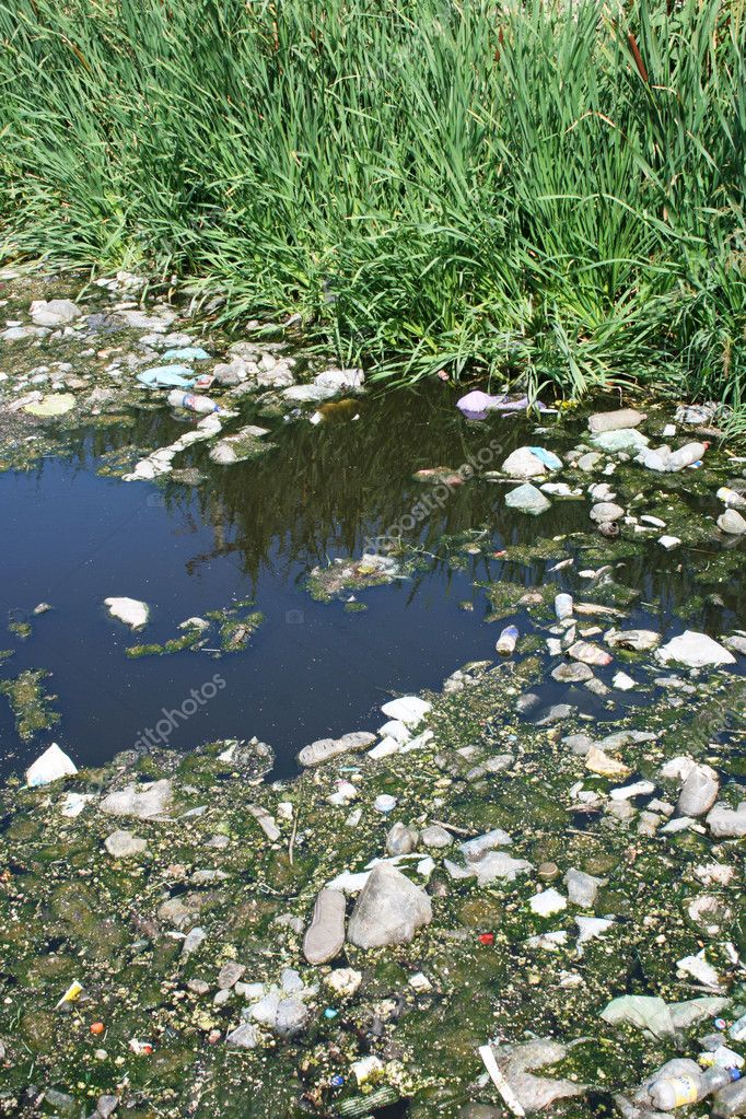 Water pollution Stock Photo by ©draskovic 11688386