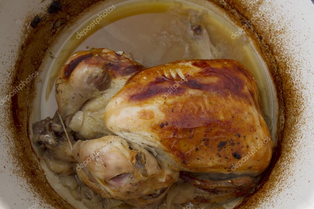 Chicken on a pot — Stock Photo © mypstudio #10958938