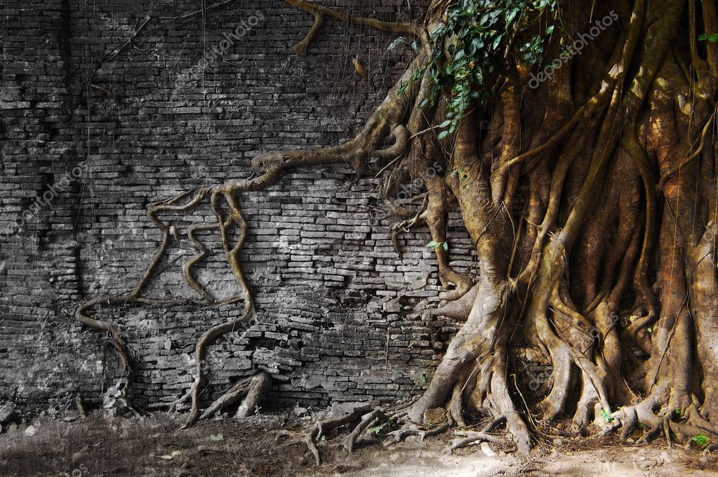 Magic tree Stock Photo by ©gluber 10920321