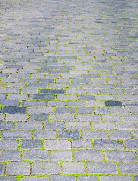 Green pavement Stock Photos, Royalty Free Green pavement Images ...