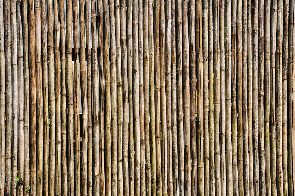 Bamboo background Stock Photo by ©tigger11th 12360218
