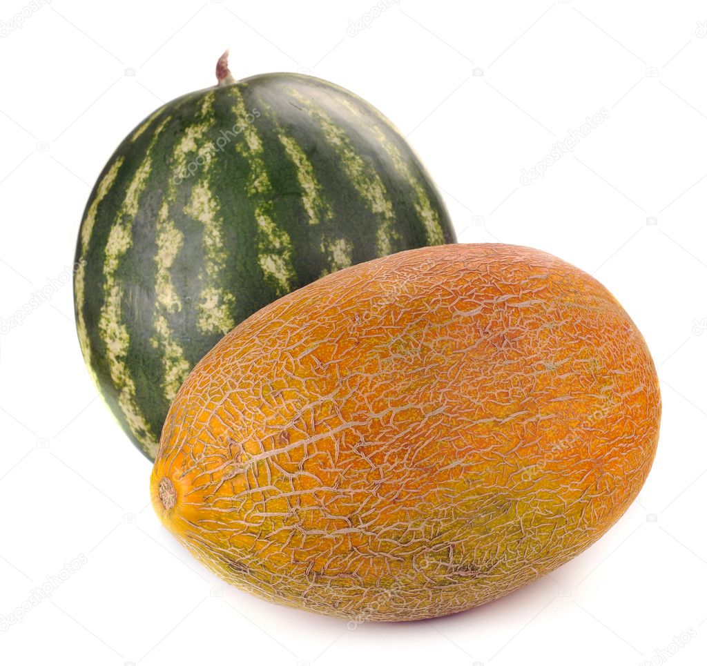 Watermelon and melon Stock Photo by ©nikitos1977 11302629 Watermelon and melon Stock Photo by ©nikitos1977 11302629