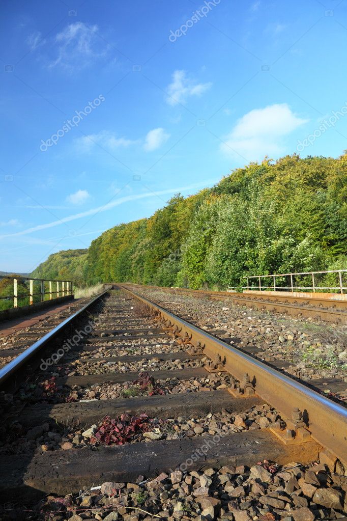 Rail Road Tracks — Stock Photo © LSaloni #11795810