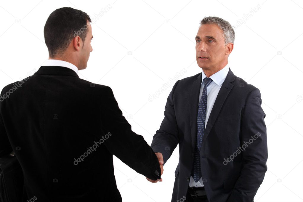 A business handshake — Stock Photo © photography33 #11868213