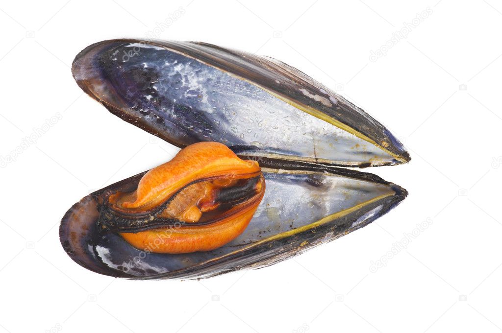 Black mussels Stock Photo by ©Orlando.B 10838824