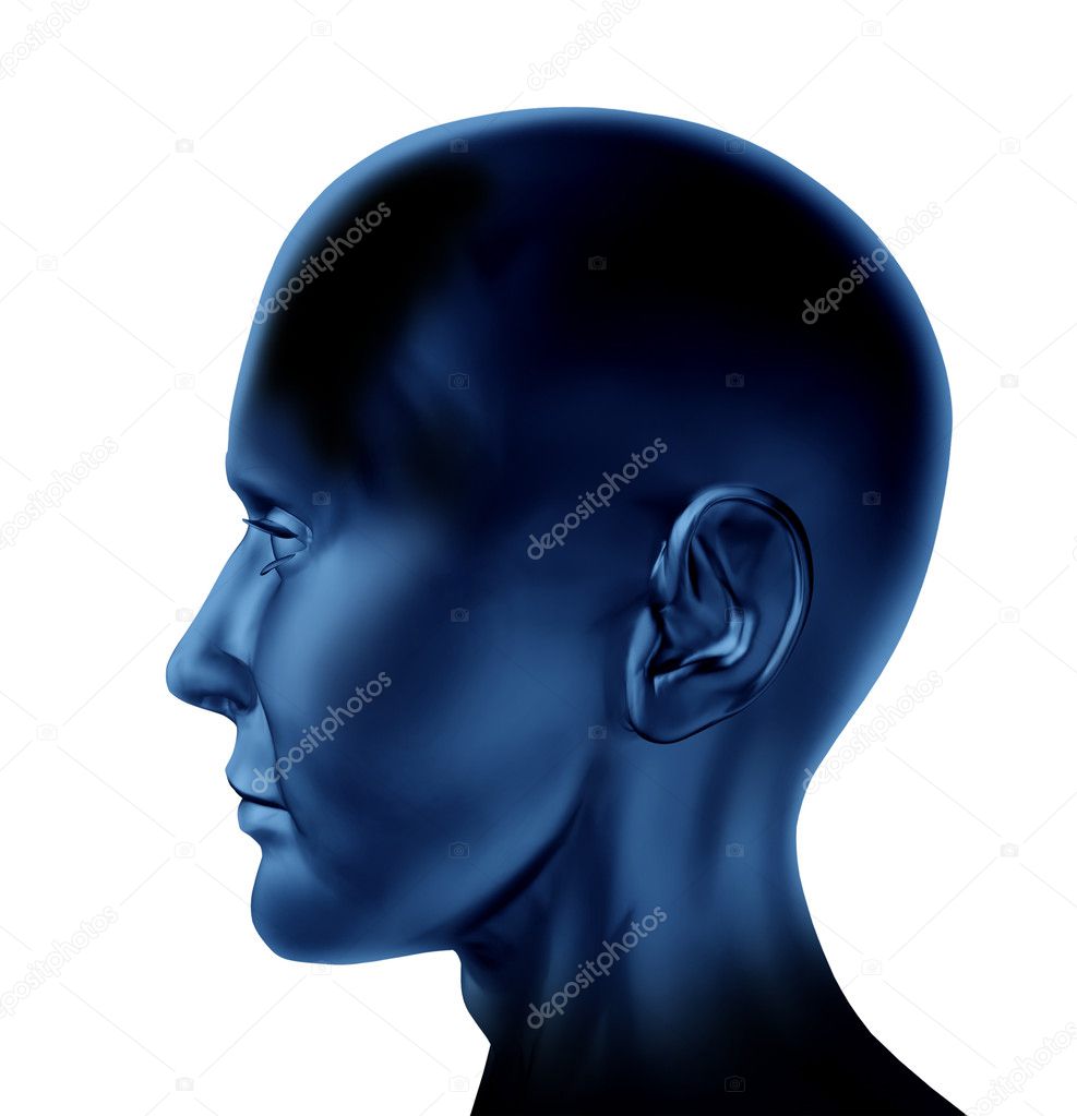 Blank Human Head — Stock Photo © lightsource #11293485