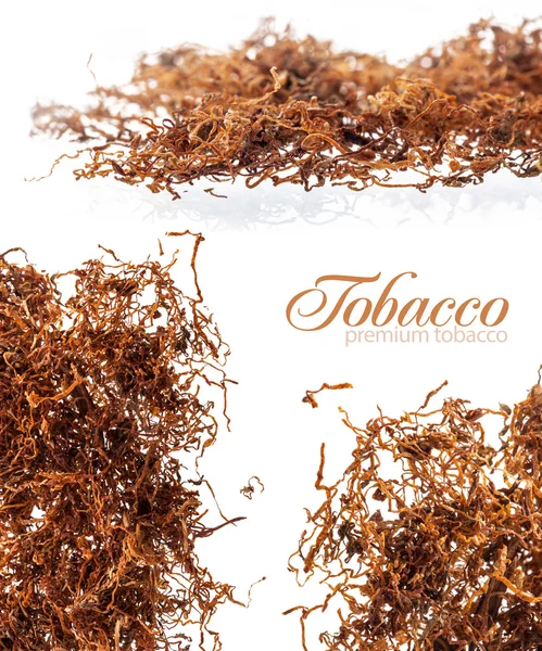 Premium rolling tobacco — Stock Photo © msk_nina #11614396
