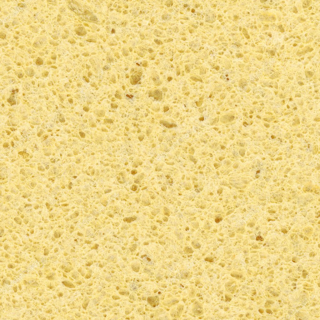 Sponge texture — Stock Photo © flas100 #12182135
