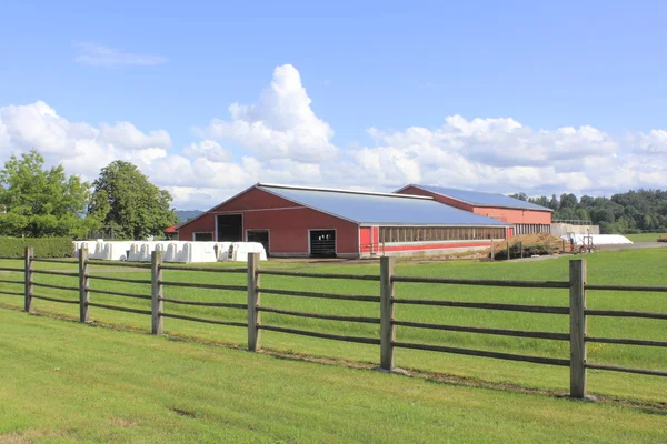 Large Dairy Farm - Stock Image - Everypixel