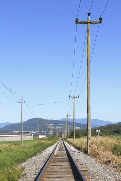 A single railroad track - Stock Image - Everypixel