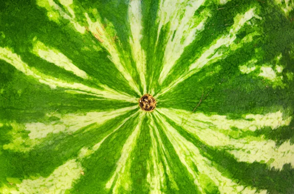 Watermelon rind background Stock Photo by ©tdoes1 2385714