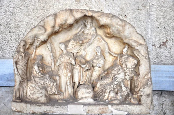 Heliaia Stock Photos, Royalty Free Heliaia Images | Depositphotos®