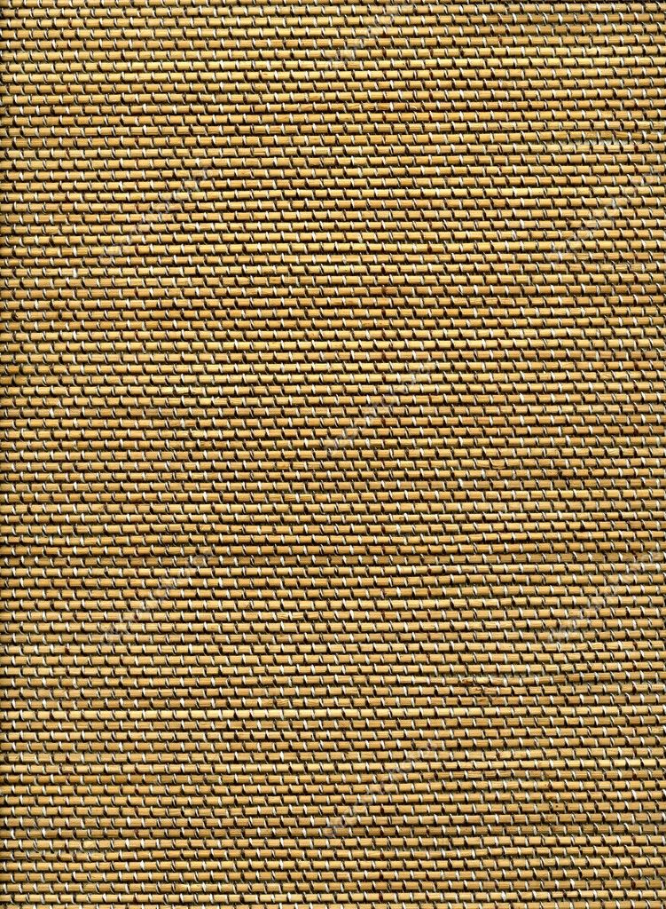 Cane texture — Stock Photo © valeniker #10852104