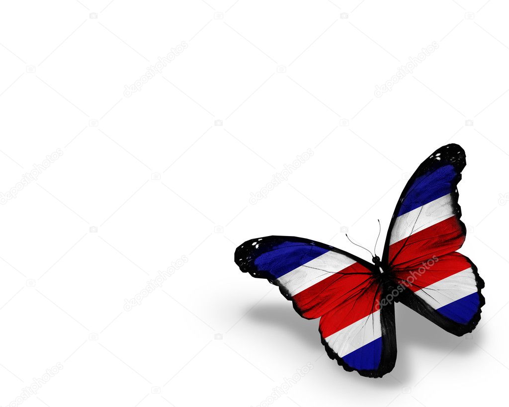 Mariposa de bandera de Costa rica, aislado sobre fondo blanco — Foto de ...