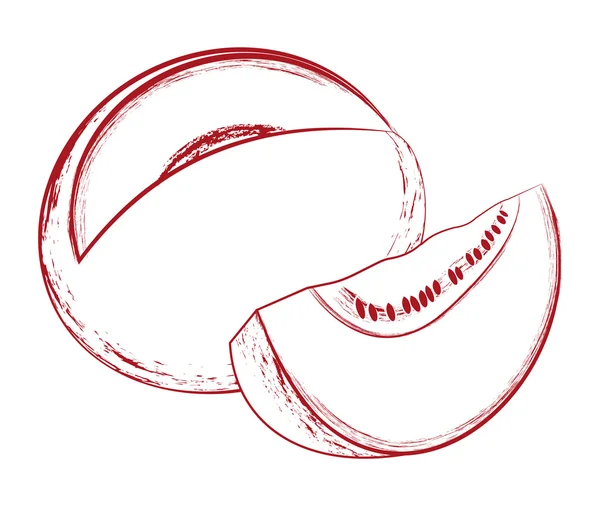 Rind Stock Vectors, Royalty Free Rind Illustrations | Depositphotos®