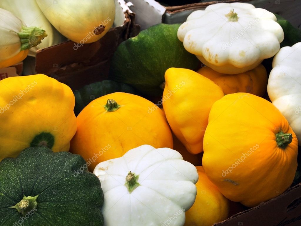 Patty Pan Squash Stock Photo by ©duckeesue 11559385