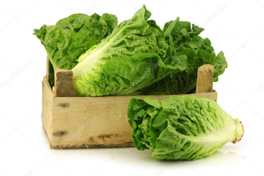 Lechuga fresca "pequeña joya" en una caja de madera 2023
