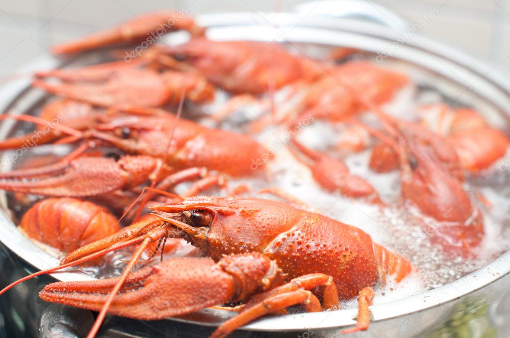 Crawfish cooking in a large pot — Stock Photo © etitarenko #12103324