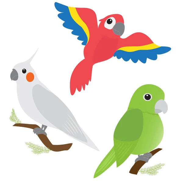 ᐈ Dibujo perico vectorizado de stock, vectores perico | descargar en ...