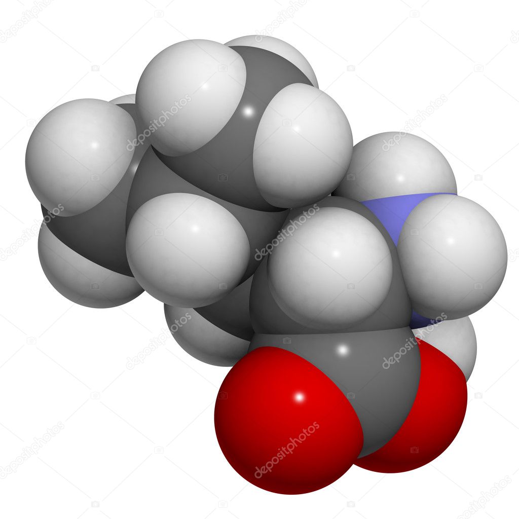 Leucine (Leu, L) molecule — Stock Photo © molekuul #11245528