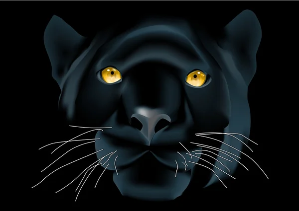 Black panther animal Images - Search Images on Everypixel